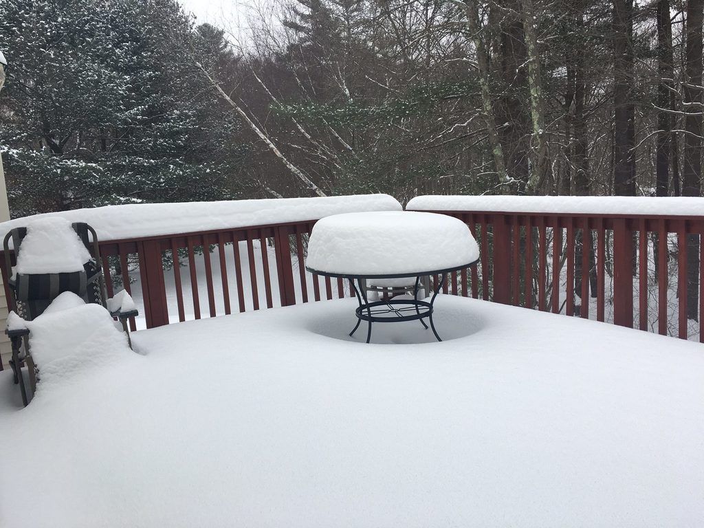 15 natural objects that are really white - life's chemistry press