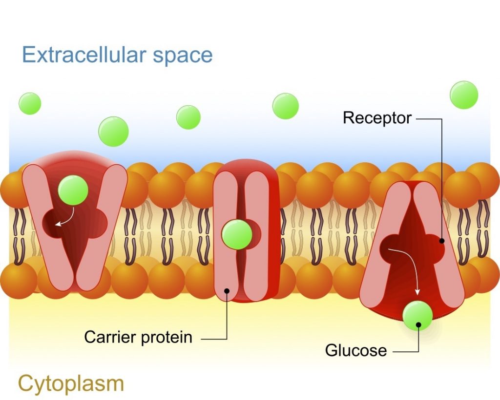Cancer: three important concepts to be aware of - Life's Chemistry Press