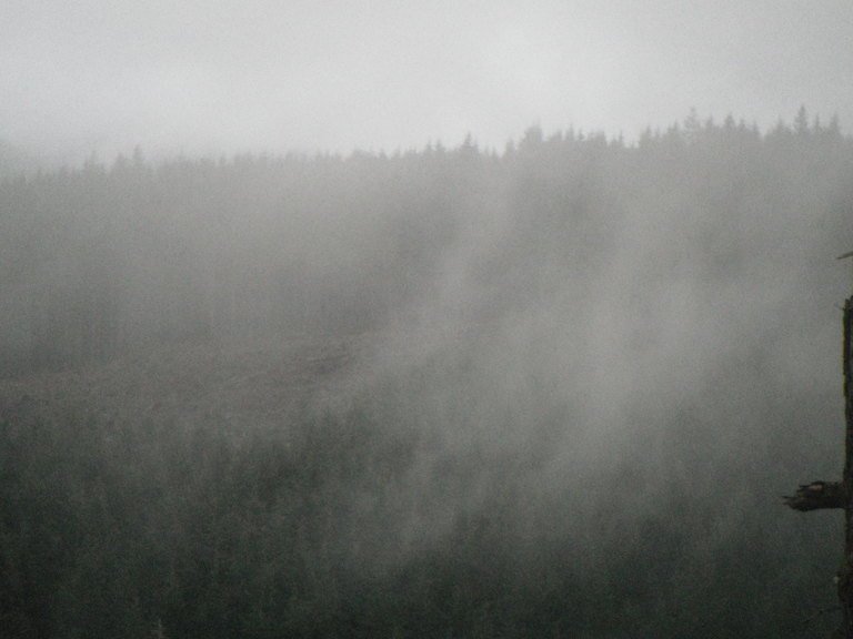 Frozen clouds in the freezer and in the sky - life's chemistry press