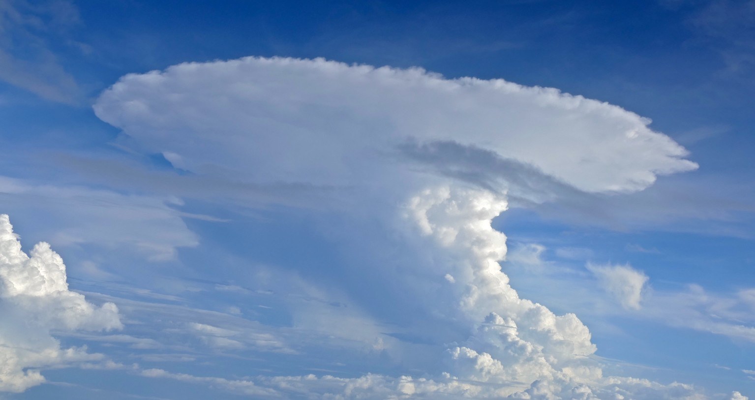 15 natural objects that are really white - life's chemistry press